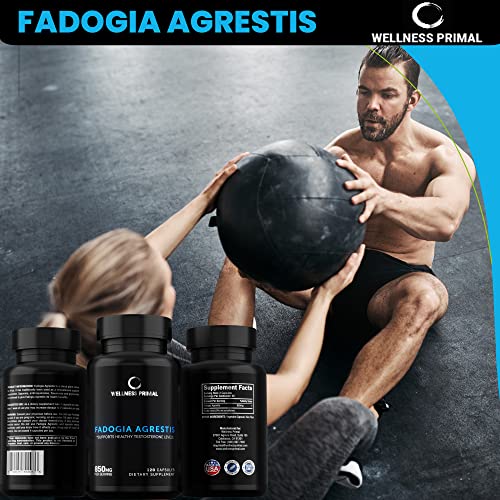 pure Fadogia Agrestis extract benefits