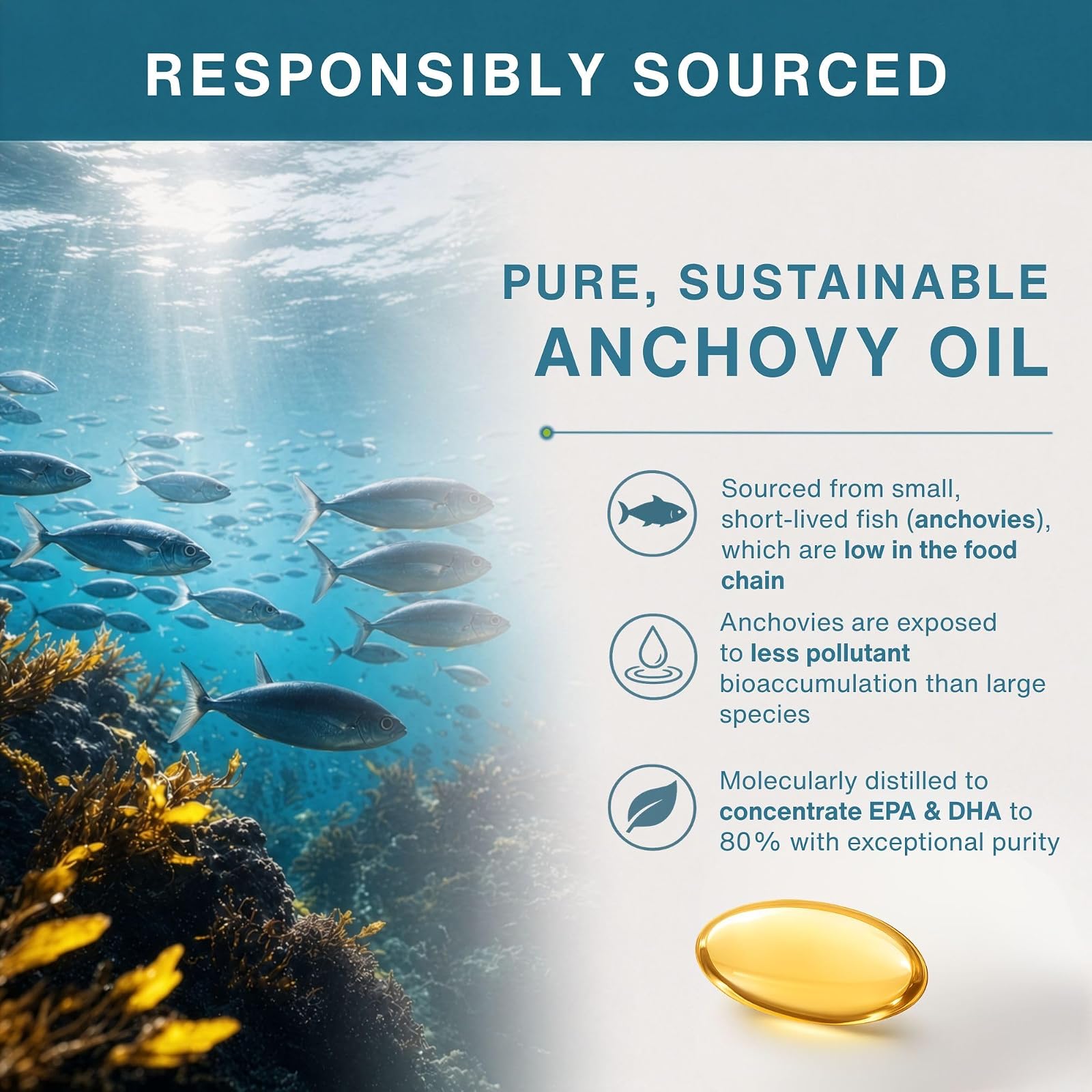 pure fish oil for daily wellness