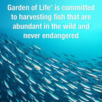 pure fish oil for heart health
