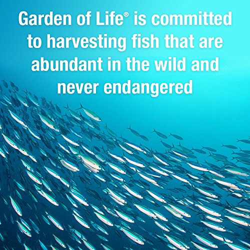 pure fish oil for heart health