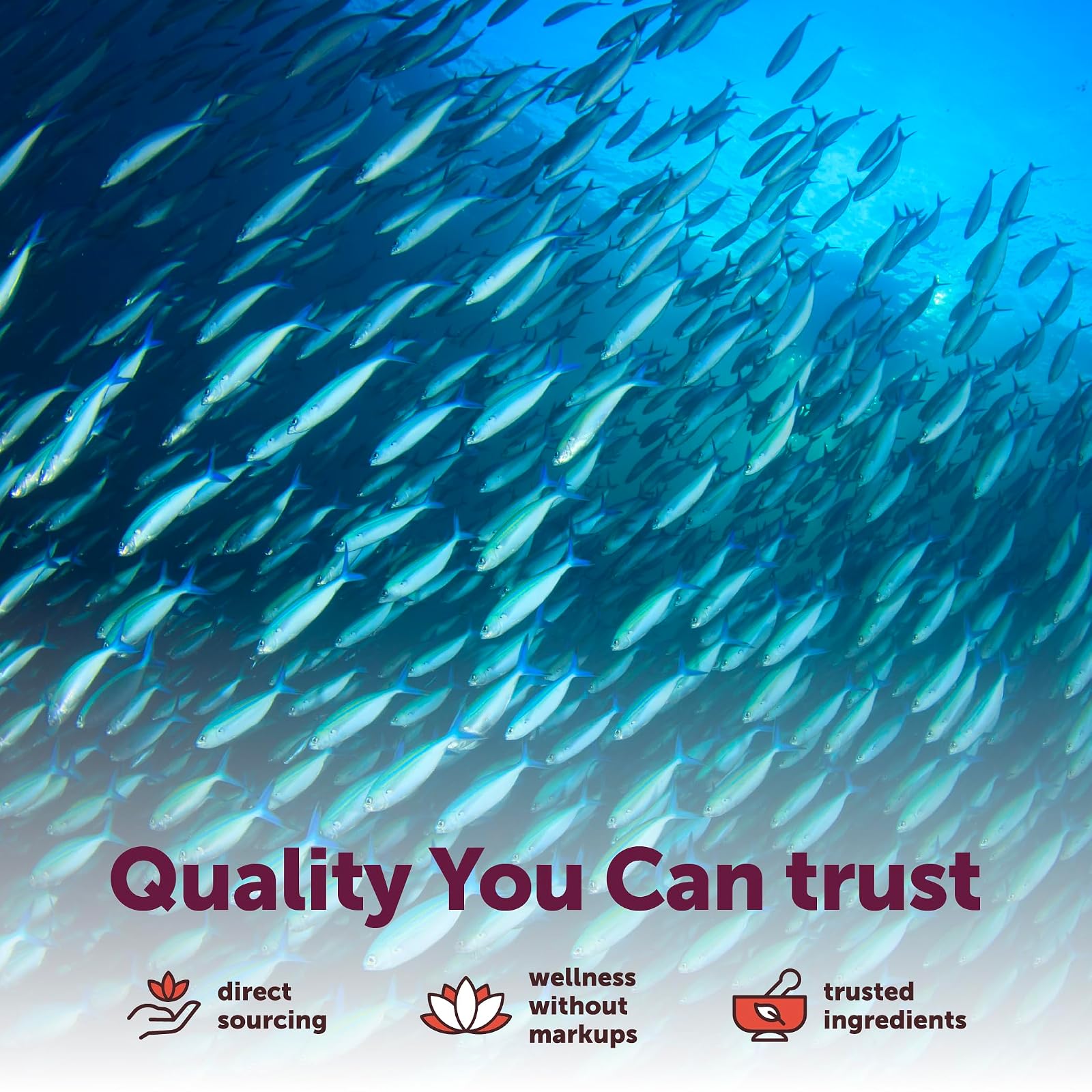 pure fish oil for heart support
