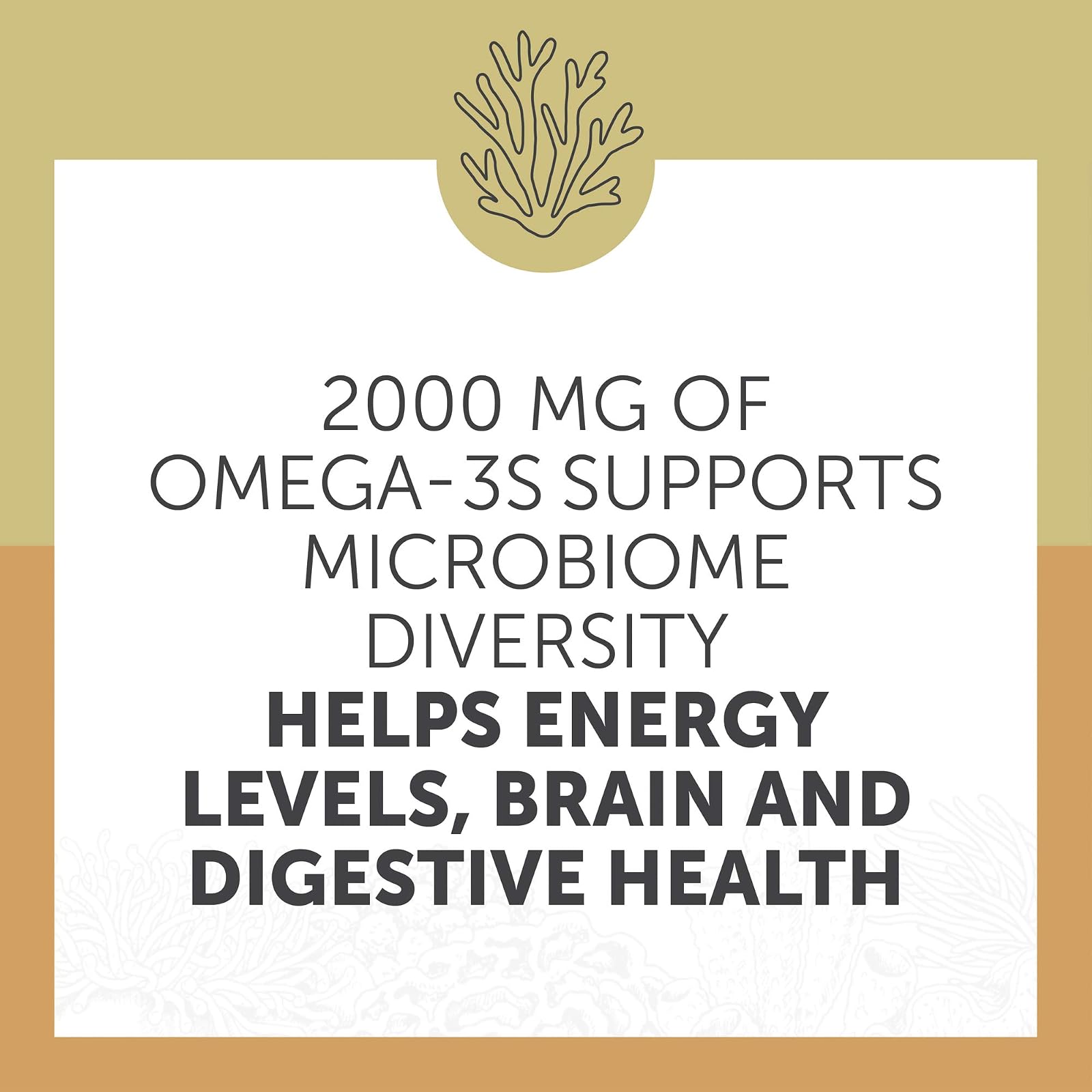 pure fish oil for joint support