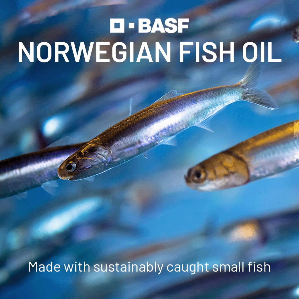 pure fish oil for wellness