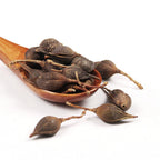 pure forsythia tea for wellness