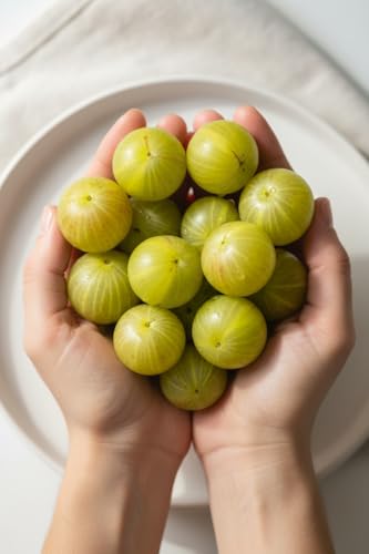 pure fruit extracts for daily wellness