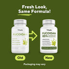 pure fucoidan multivitamin for women