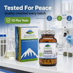 pure ginger extract for wellness