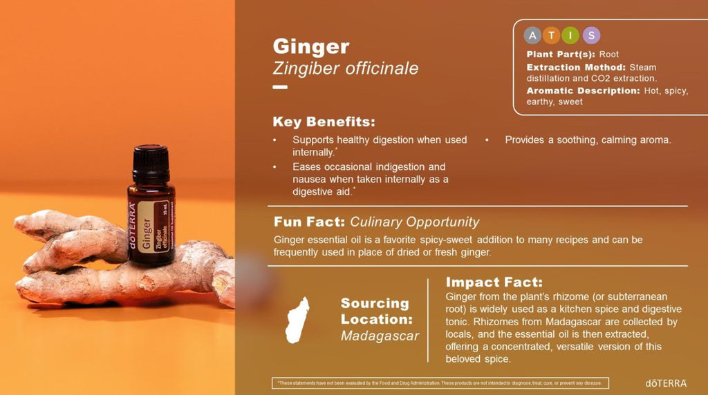 pure ginger oil for soothing tea