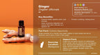 pure ginger oil for soothing tea