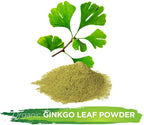 pure ginkgo biloba leaf supplement