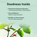 Pure Gymnema Sylvestre powder for health