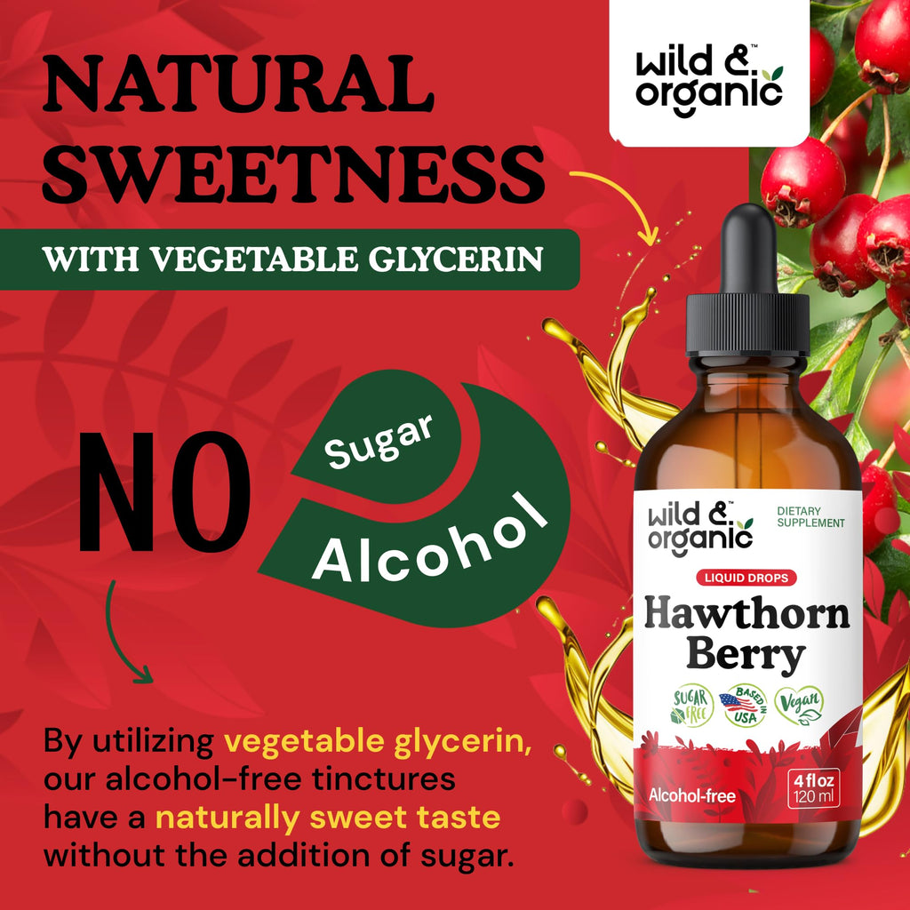 pure hawthorn extract for digestion