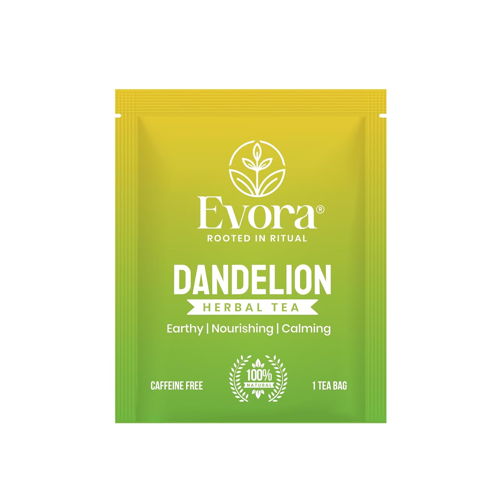 pure herbal dandelion tea bags