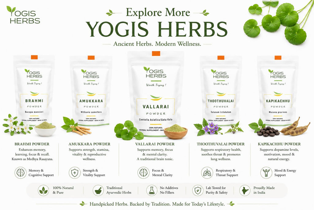 pure herbal powder for mental sharpness