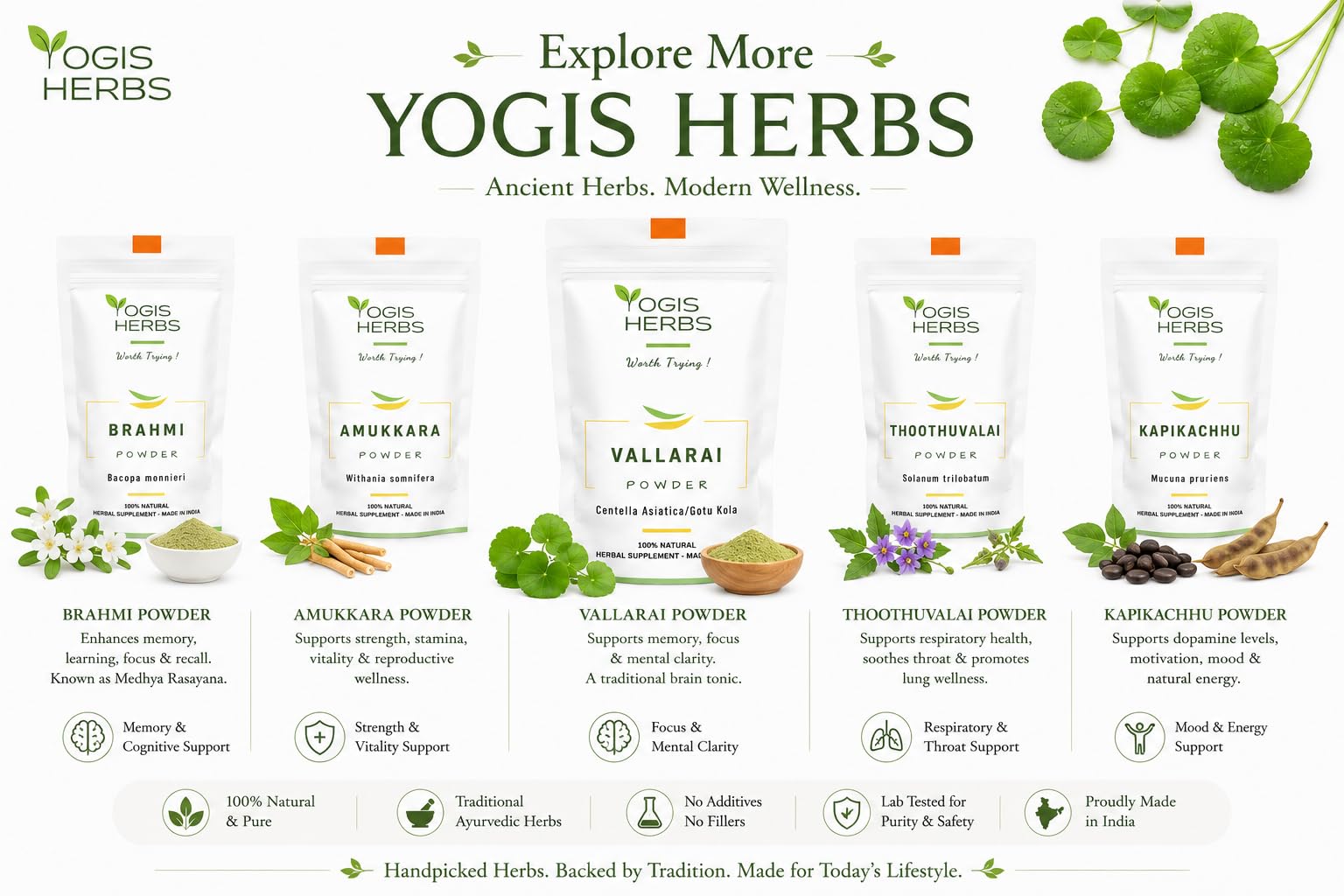 pure herbal powder for mental sharpness