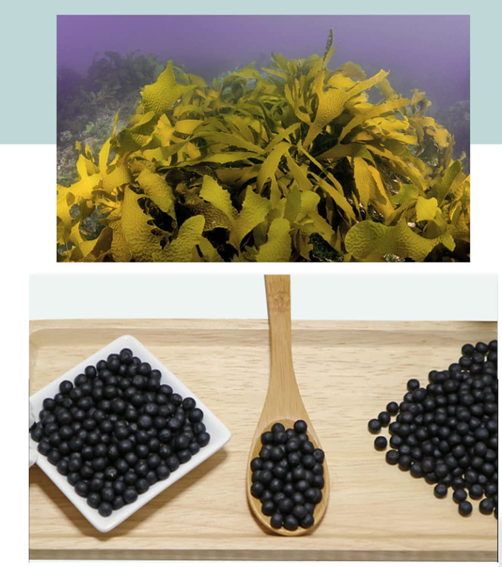 Pure herbal tea for health