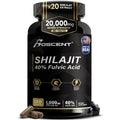 pure Himalayan shilajit capsules
