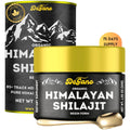 pure Himalayan Shilajit resin