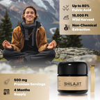 pure Himalayan shilajit supplement