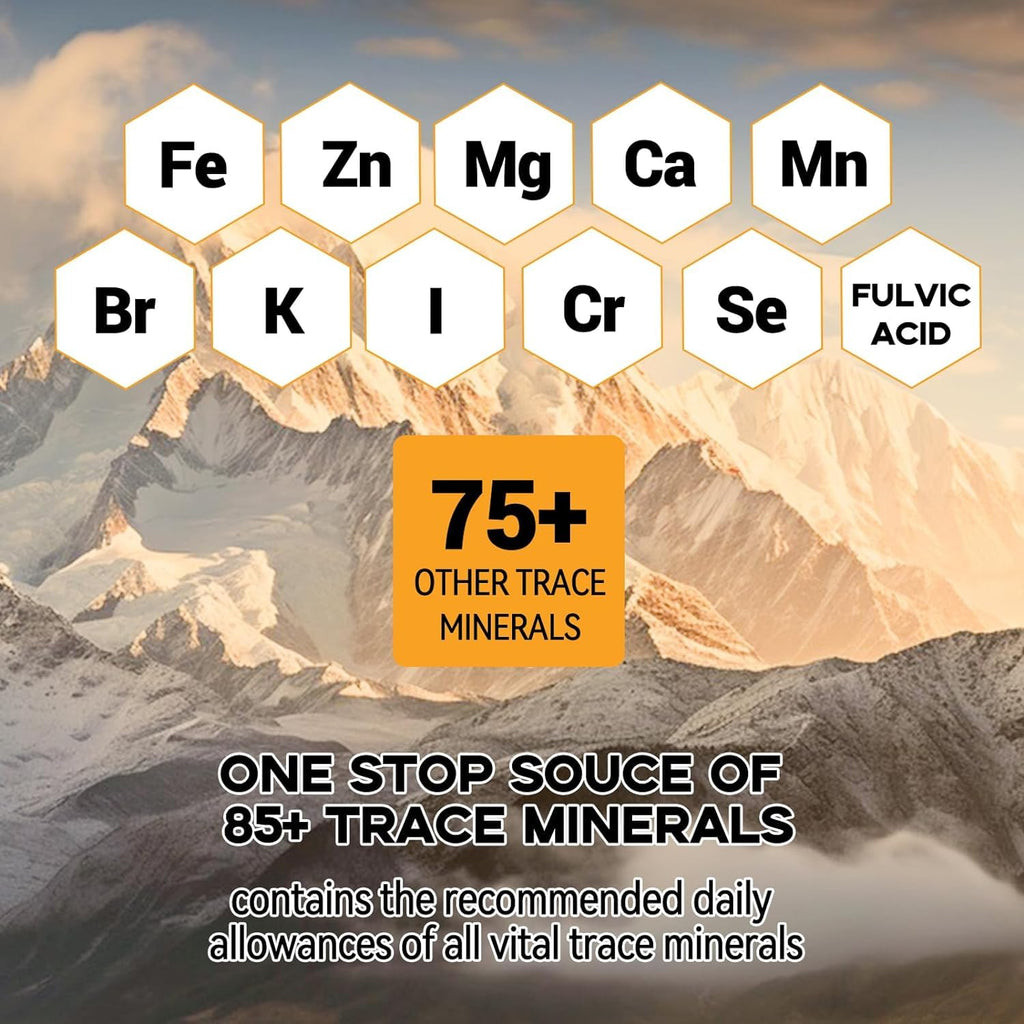 pure Himalayan Shilajit supplement