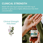 pure Holy Basil extract capsules