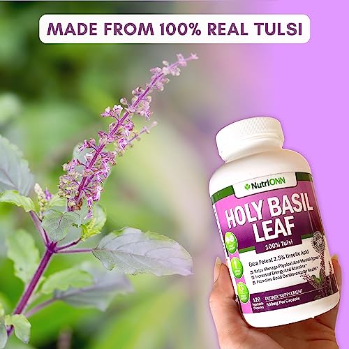 pure holy basil extract for daily health