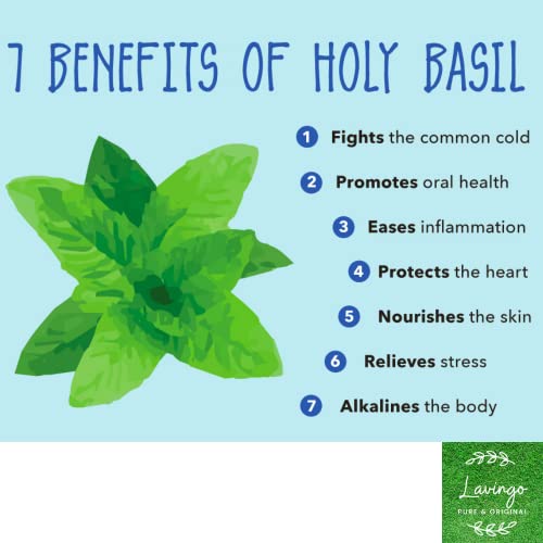 pure holy basil for holistic health