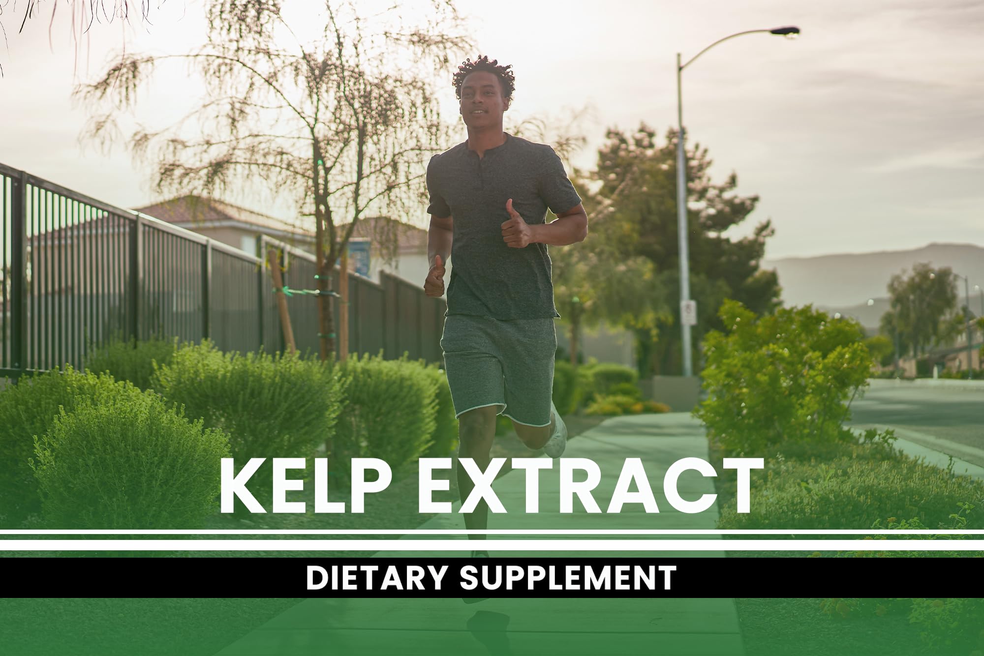 pure ingredients for wellness