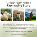 pure lion's mane for holistic health