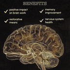 pure lion's mane supplement for wellness