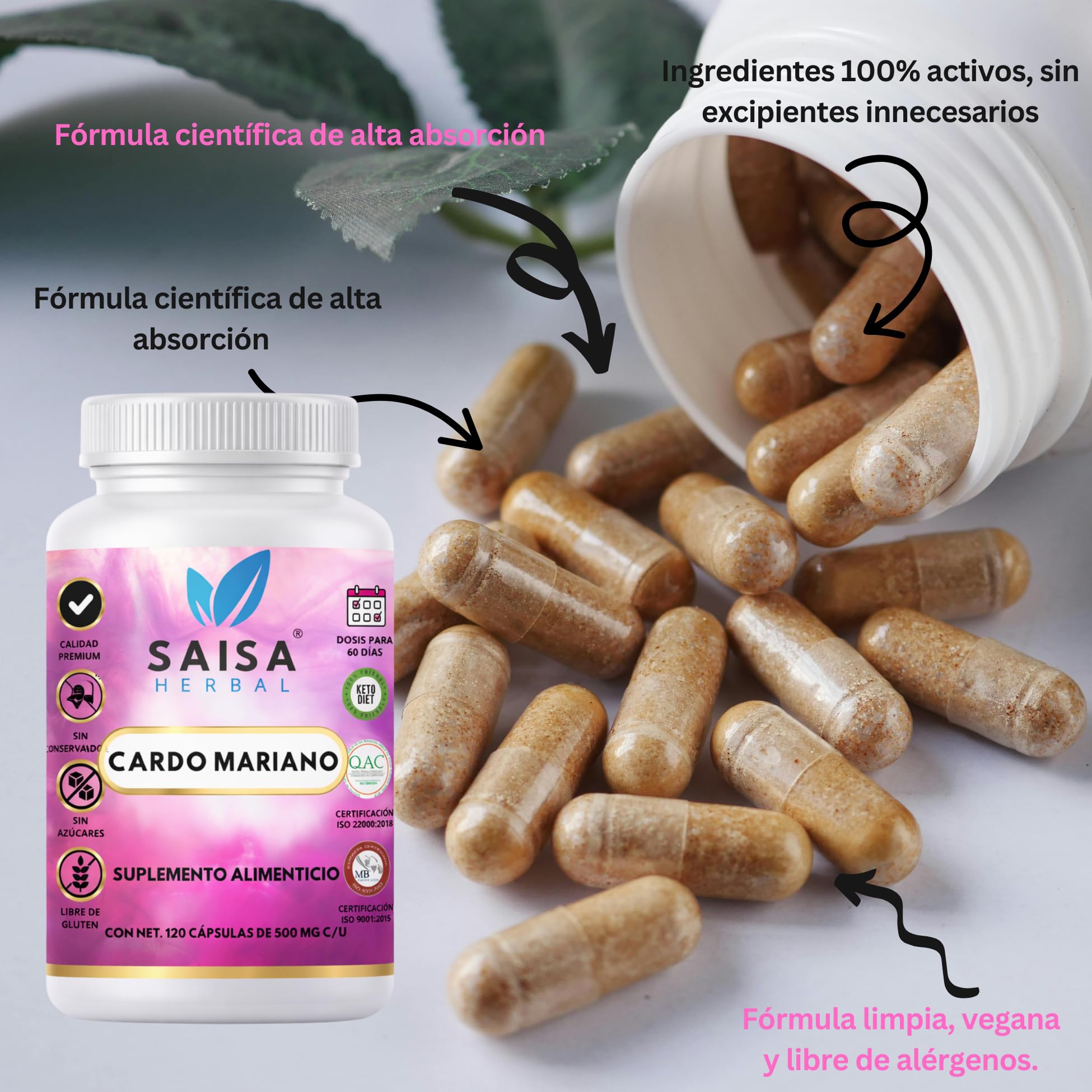 Pure Milk Thistle for energy boost