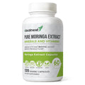 pure moringa extract capsules