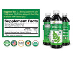 pure moringa extract for daily health