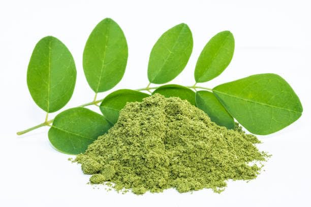 pure moringa for wellness routines