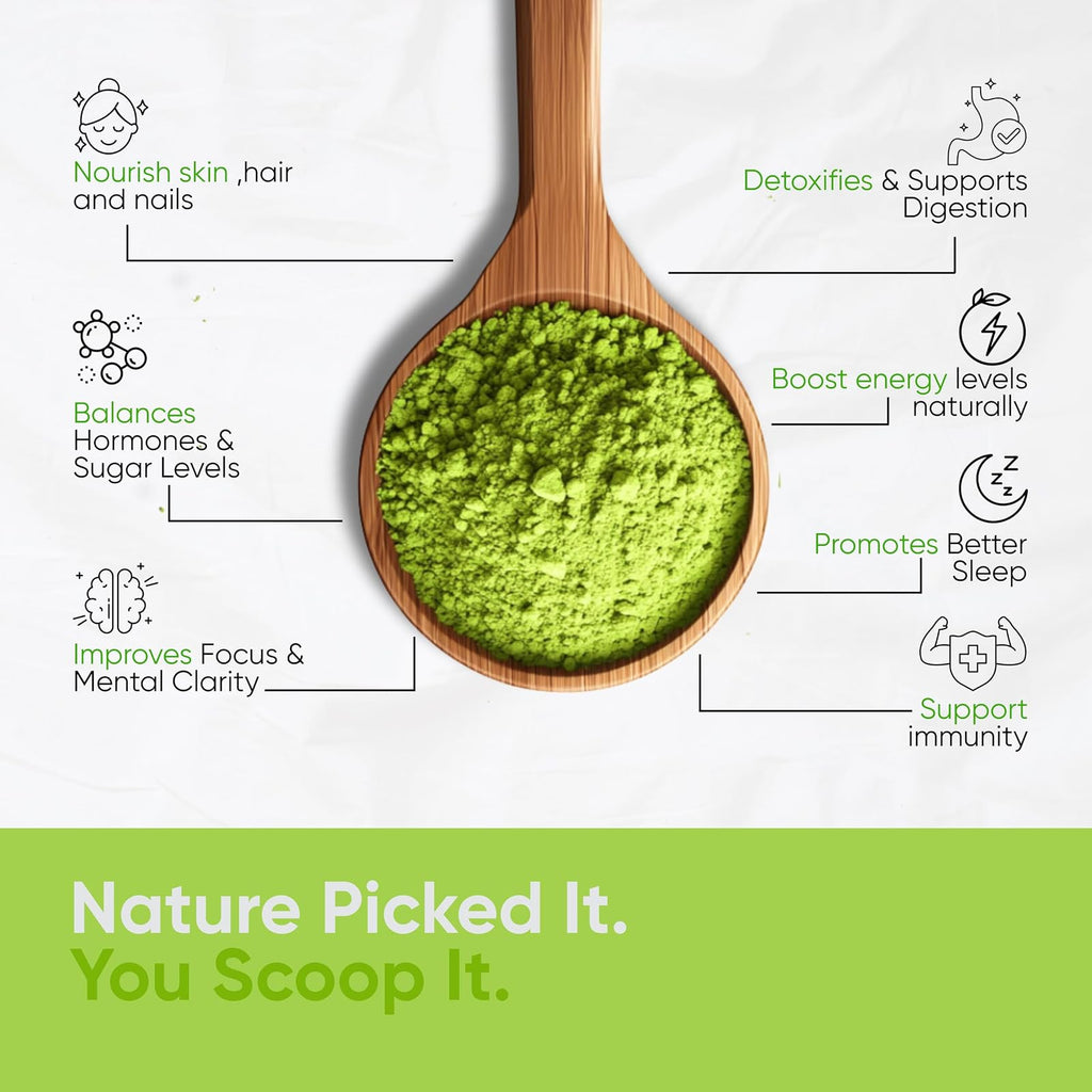 pure moringa powder for natural energy
