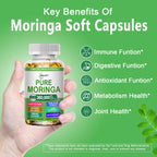 pure moringa supplement for wellness