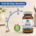 Pure Mountain Botanicals herbal remedy