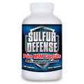pure msm powder for joints