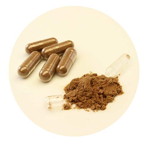 Pure mushroom extract for energy