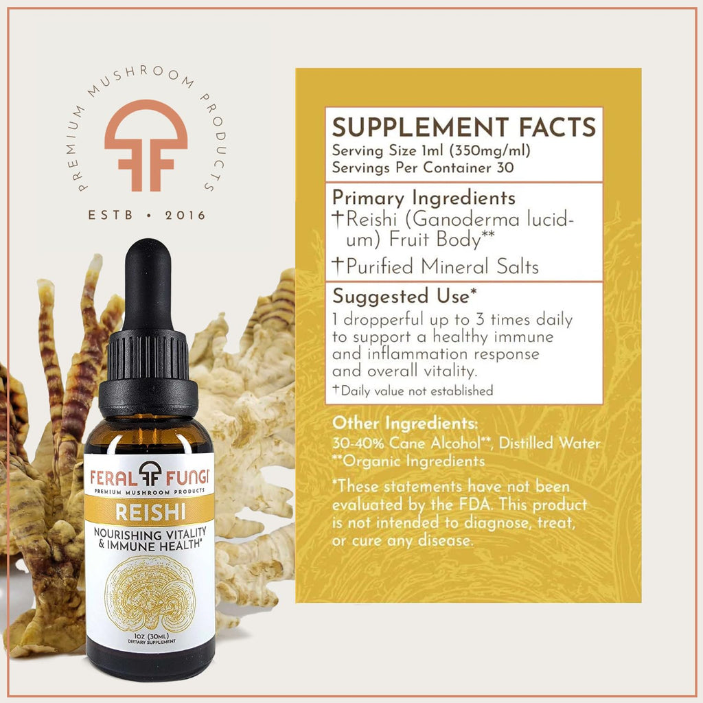 pure mushroom extract for holistic healing