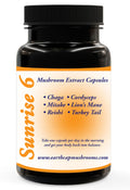 pure mushroom supplement capsules