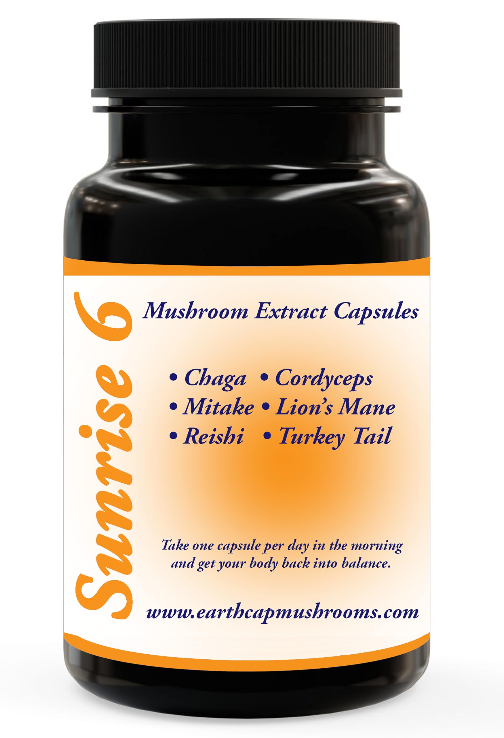 pure mushroom supplement capsules