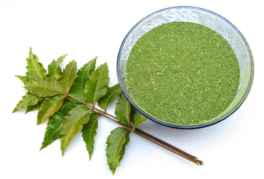 pure neem leaf powder for immunity