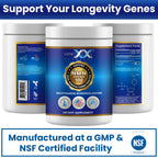 pure NMN for cognitive support