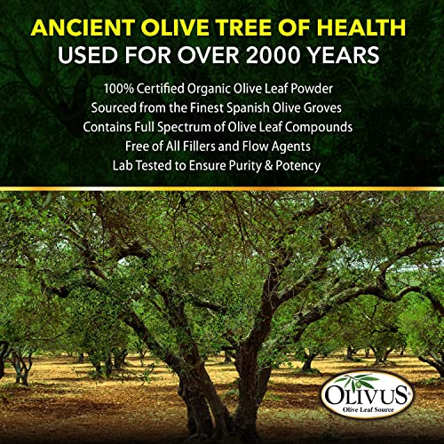 pure olive leaf extract capsules