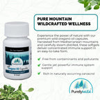 pure oregano oil for wellness