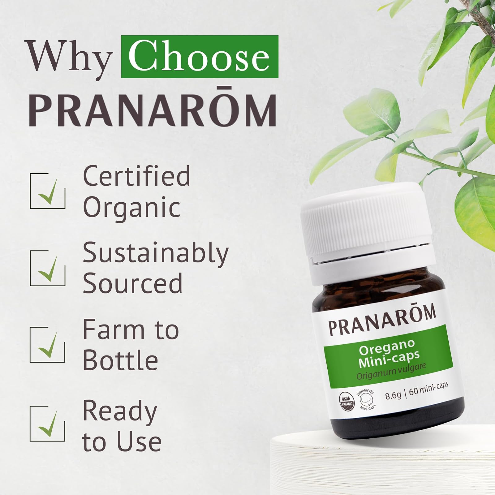 pure oregano oil mini-caps