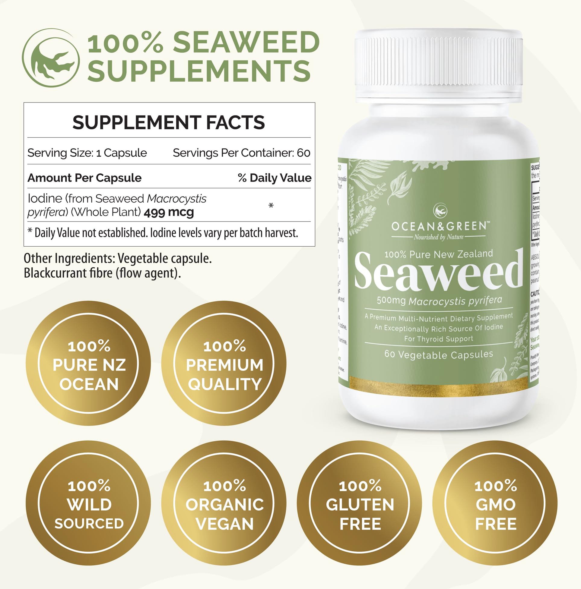 pure organic kelp for health