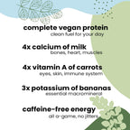 pure organic moringa powder benefits