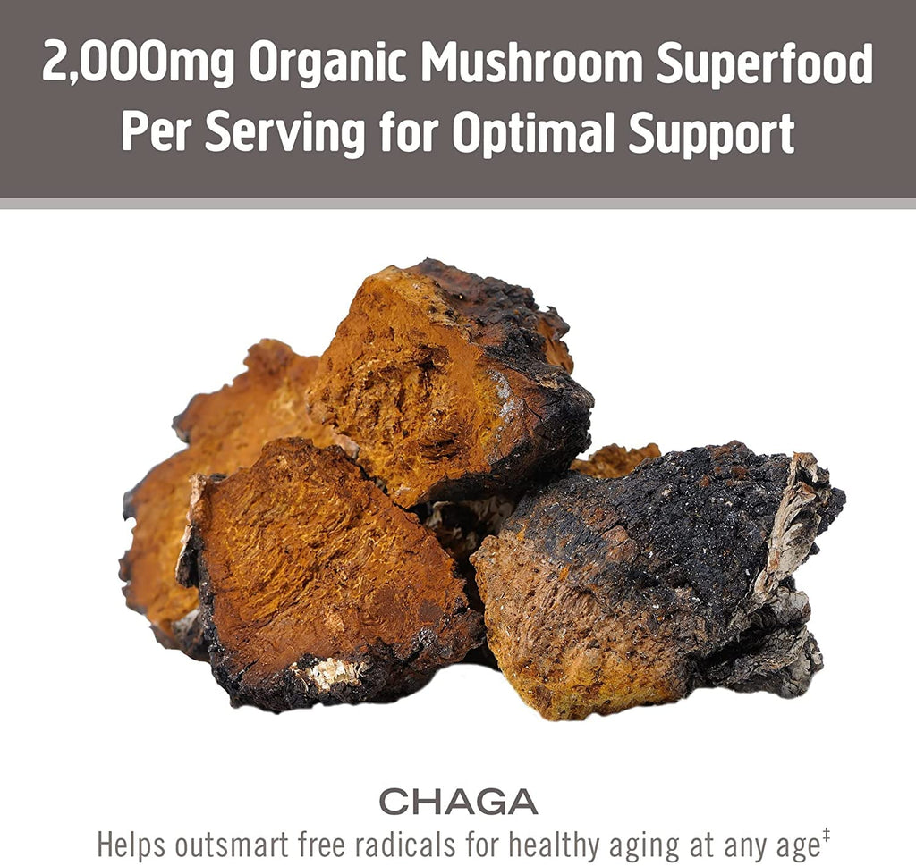 pure organic mushroom extract